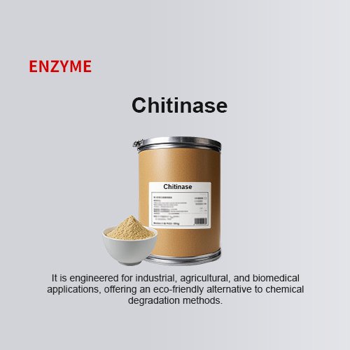 Industrial-grade chitinase Chitinase in fungal cell wall breakdown